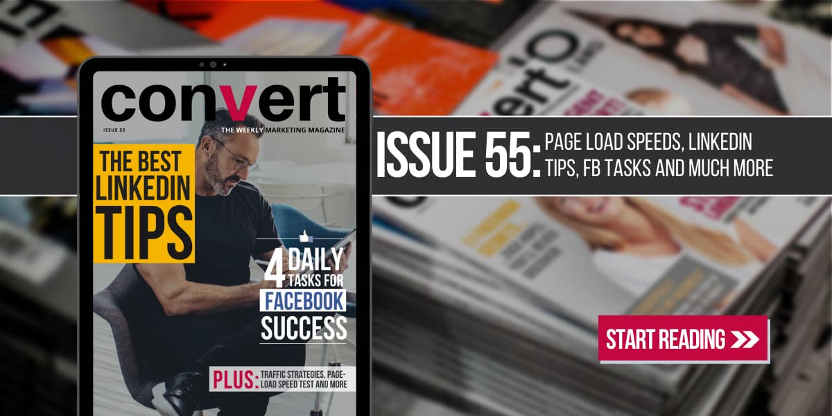 Issue 55: Facebook daily tasks, LinkedIn ad tips and Page Speed tests ...